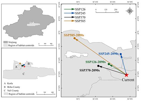 the distribution range of populus euphratica oliv salicaceae will