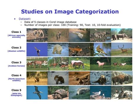 Multiple Kernel Learning Based Approach To Representation And Feature Selection For Image