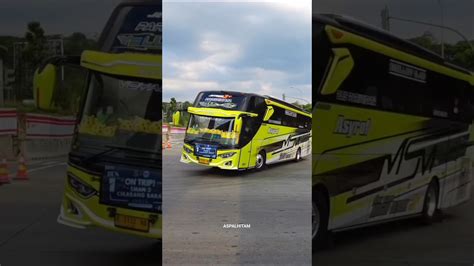 Manuver Basuri "YELLOW" Msm Asyrof #bus #basuri #telolet #asyrof #shorts - YouTube