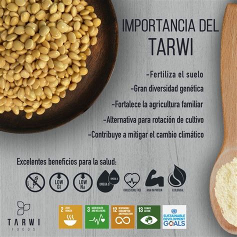 Proteína Vegetal Tarwi Foods