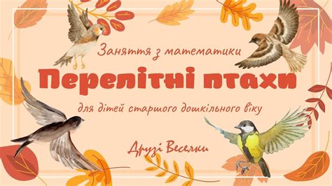 Перелітні птахи Заняття з математики для дітей старшого дошкільного віку Youtube