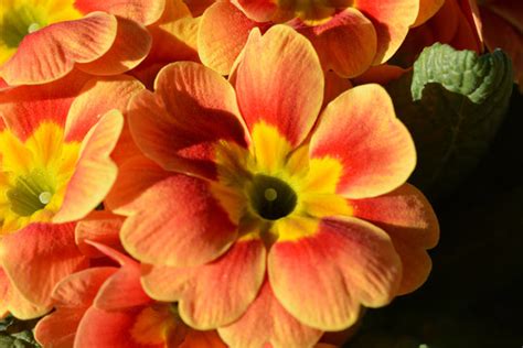 รูปภาพkellmann Art เลือกดูภาพถ่ายสต็อก เวกเตอร์ และวิดีโอ712 Adobe Stock