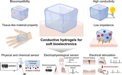 Conductive Hydrogels Bridging The Gap Between Biology And Electronics