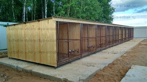 Вольер-питомник для собак | dog shelter | Вольер для собаки, Собаки