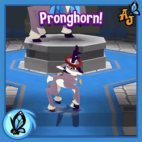 Pronghorn Bundle The Daily Explorer