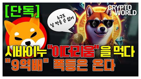 긴급 시바이누 이더리움 을 먹다 9억배 폭등은 온다 시바이누코인 시바이누호재 코인추천 코인전망 급등코인