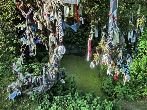 The Legend And Lore Of The Rag Tree Tradition In Ireland Mysterious