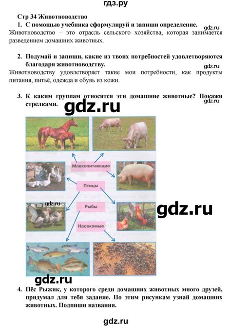 ГДЗ часть 2. страница 34 окружающий мир 3 класс рабочая тетрадь Плешаков