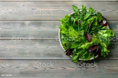 나무 배경에 한 접시에 신선한 양상추 Arugula 시금치와 사탕 무 우 콩나물의 잎 상위 뷰 0명에 대한 스톡 사진 및 기타 이미지 Istock