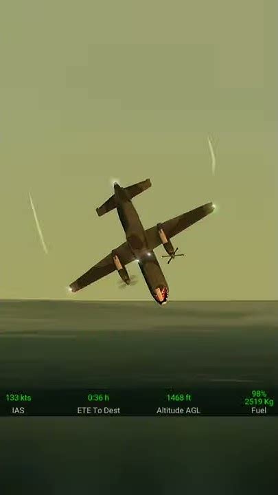 Rfs Bird Strike On Takeoff Saab 340b Plane Crash Real Flight