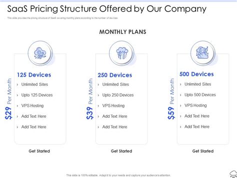 Saas Pricing Structure Offered By Our Company Ppt Pictures Graphics Presentation Graphics