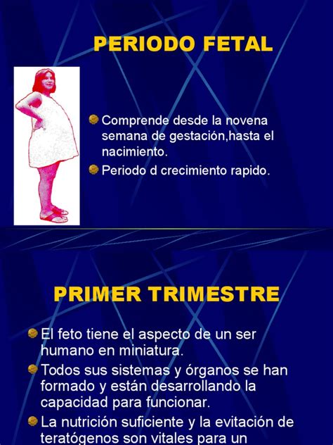 Periodo Fetal Pdf