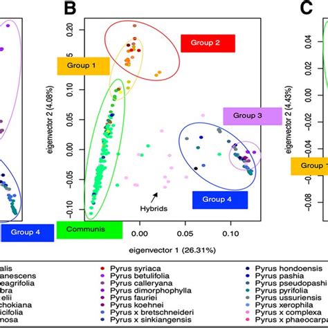 Comparison Of Snp Array And Gbs Genotyping By Sequencing Error Rate
