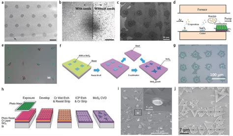 A SEM Image Of Shorttime Growth Graphene Array Grown From Multilayer Download Scientific