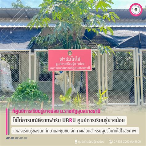 ไข่ไก่อารมณ์ดีจากฟาร์ม Ubru ราคาเริ่มต้น 80 บาท “สด ใหม่ กองสวัสดิการ สำนักงานอธิการบดี
