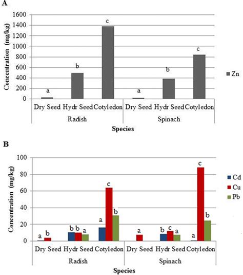 Concentrations Of Zn A And Cd Cu And Pbb In The Dry Seed