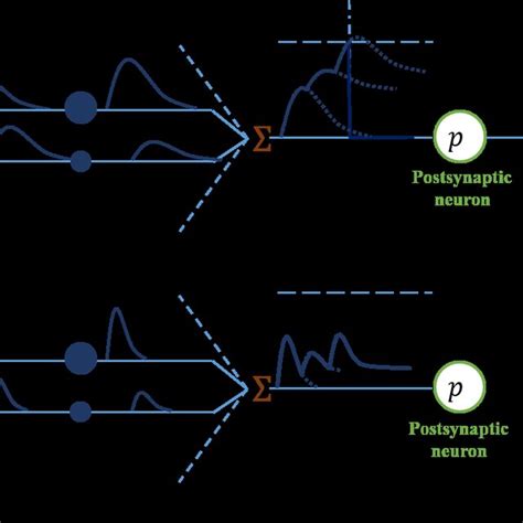 Schematic Diagram Of The Spike Response Model With Different Time Download Scientific Diagram