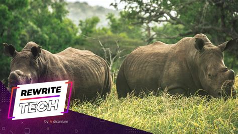 Complete Guide To Create Custom Themes With Material Ui And Nextjs By Michael Baptista