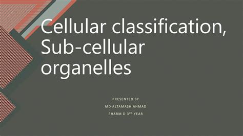 Cellular Classification Sub Cellular Organelles Pptx