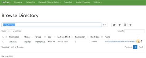 尚硅谷大数据flink117实战教程 笔记02【flink部署】flink117部署 Csdn博客
