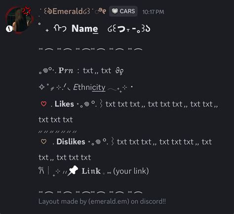 Aesthetic Discord Intro Template