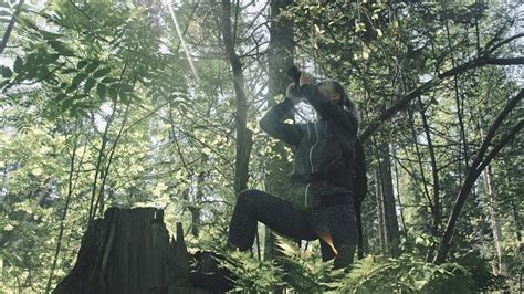 숲에서 경치를 촬영하는 여행자 한 백인 여성 촬영 좋은 마술 모습 소녀는 Dslr 미러리스 카메라에서 사진 비디오를 찍습니다 경관에 대한 스톡 사진 및 기타 이미지 Istock