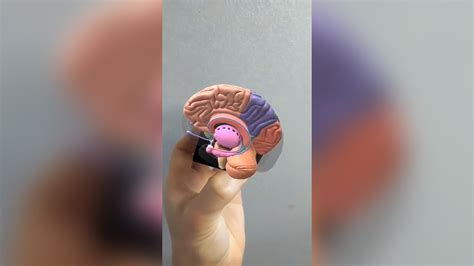 3d Print This Augmented Reality Cube Hold Brains And Other Things In
