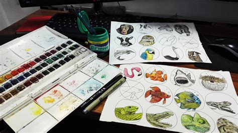 Animals Classification Game Behance