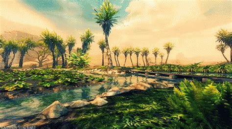 Oasis Desert  Oasis Desert Discover And Share S