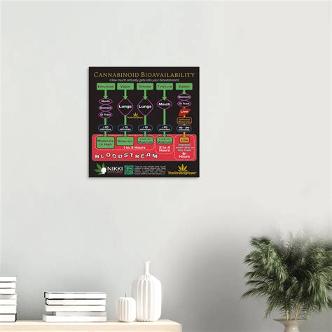 Cannabinoid Bioavailability Poster 2025 Nikki And The Plant