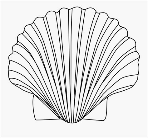 Clip Art Clam Outline Shell Clipart Black And White Free