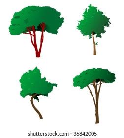 Tree Limbs Clipart Over 212 Royalty Free Licensable Stock Vectors Vector Art Shutterstock