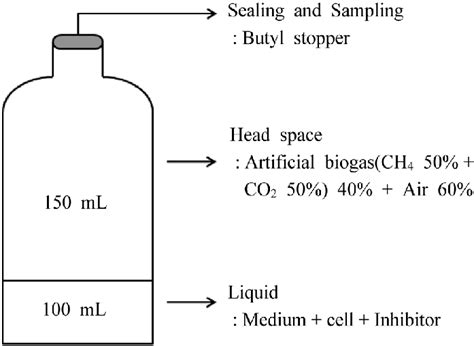Batch Type Reactor For Methanol Biosynthesis Download Scientific Diagram