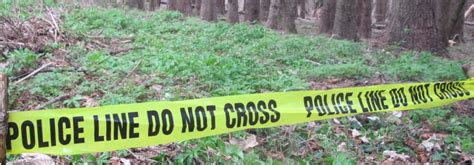 Corsi Predators Group