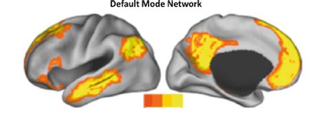 The Paradigmatic Intrinsic Connectivity Network Is The Default Mode Download Scientific Diagram