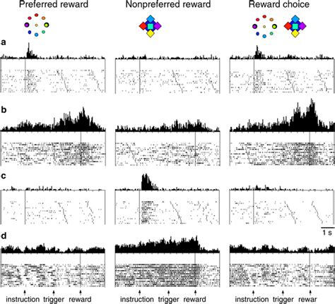 Neural Responses In Orbitofrontal Cortex A Response To Instruction Download Scientific Diagram