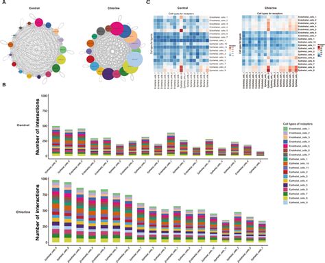 Intercellular Epithelialendothelial Cells Communication In Mice Lung