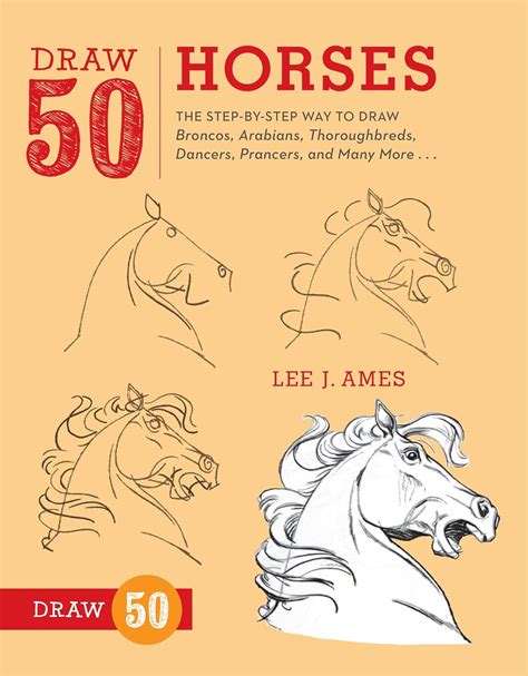 Draw 50 Horses The Step By Step Way To Draw Broncos Arabians