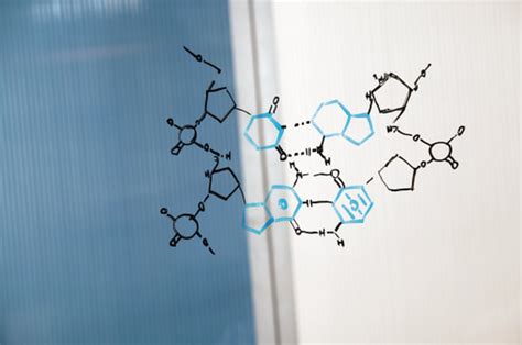 How To Use The Octet Rule