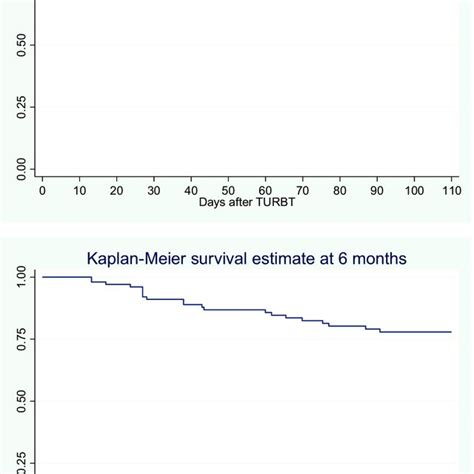 Nurse Education For Bladder Instillation Download Scientific Diagram