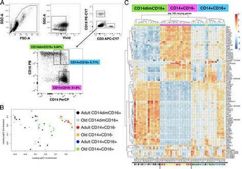 Human Monocyte Subsets Are Transcriptionally And Functionally Altered