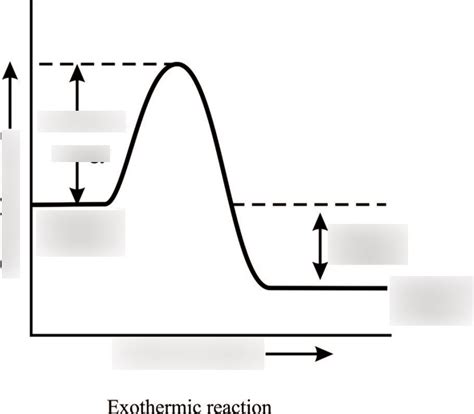 Diagram Of Exothermic Reactions Graph Quizlet