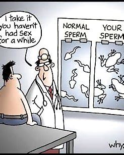 Lustige Sex Bilder Porno Bilder Sex Fotos XXX Bilder 1358471 PICTOA