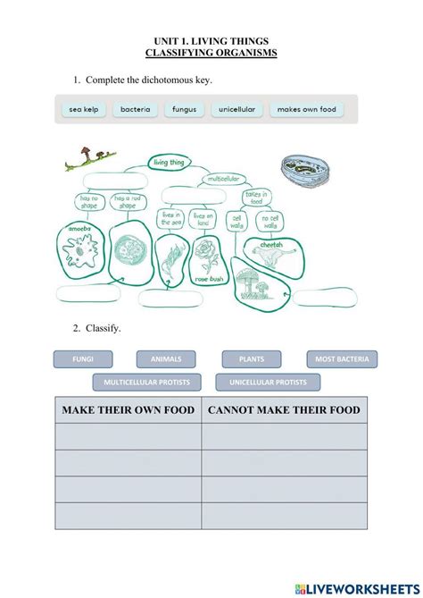 Taxonomy Research Worksheets {characteristics And Classification