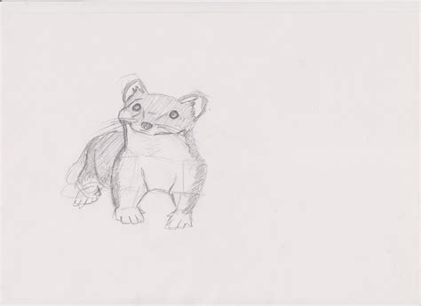 New Start Drawing Weasels Again