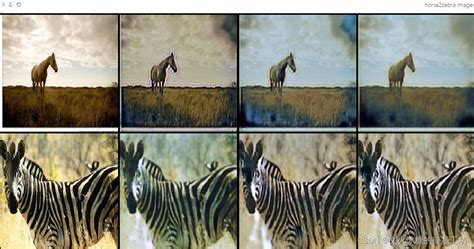 Pytorch系列 72 ：生成对抗网络gan 图像生成开源项目pytorch Cyclegan And Pix2pix 使用预训练