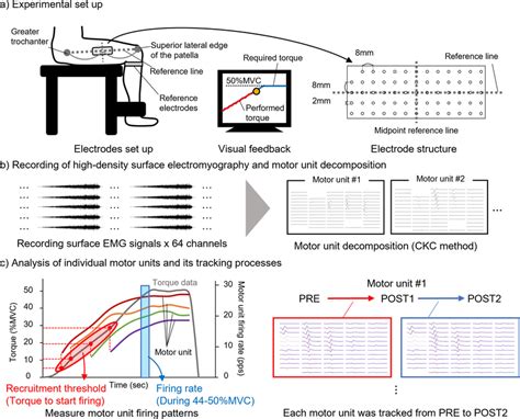 Methods Of High Density Surface Electromyography Overview A Download Scientific Diagram