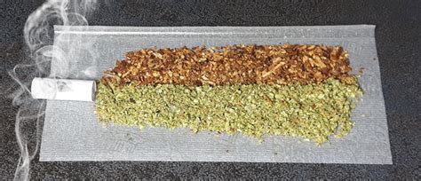 Joints Vs Spliffs Comparison Whats The Difference Lookah