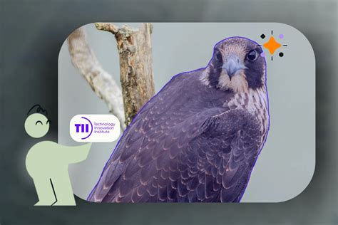 Using Falcon 40b To Build High Quality Training Datasets