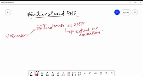 Solved The Genome Of Negative Sense Rna Viruses Is The Functional Equivalent Of Mrna Positive